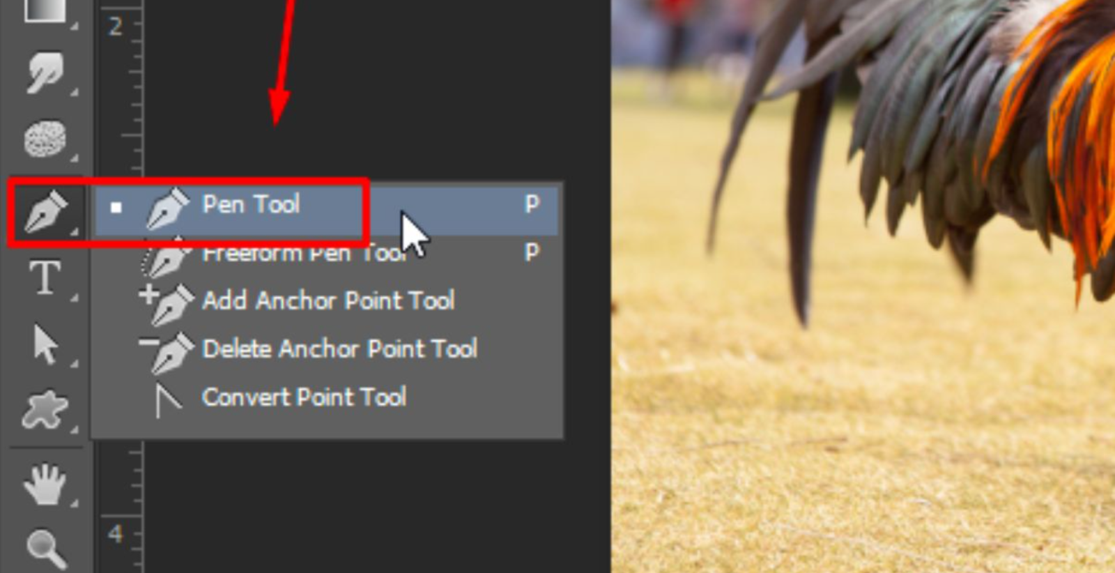 Top Photo Cropping Secrets in Photoshop for Beginners